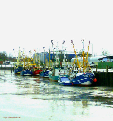 Queller-Pesto Rezept - der Dip von der Küste! - herzelieb